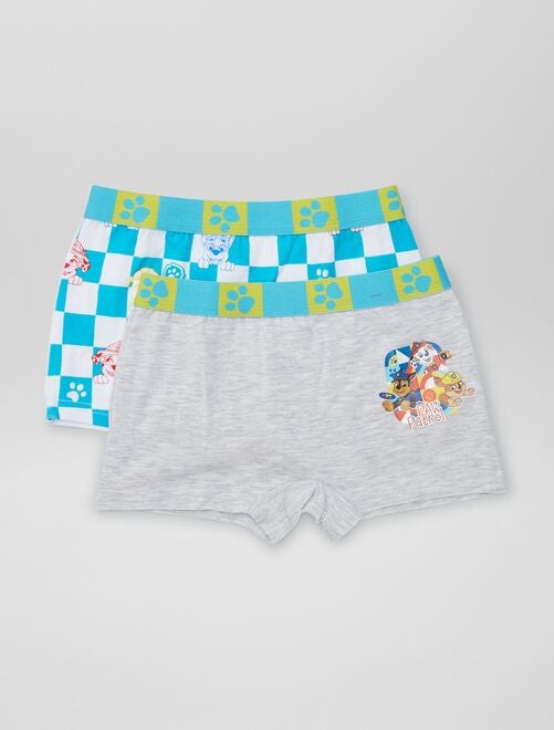 Paw patrol boxer